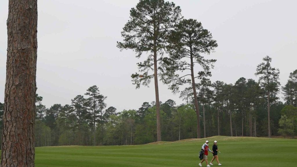 Why is everyone in Augusta talking about trees ahead of the Masters ...